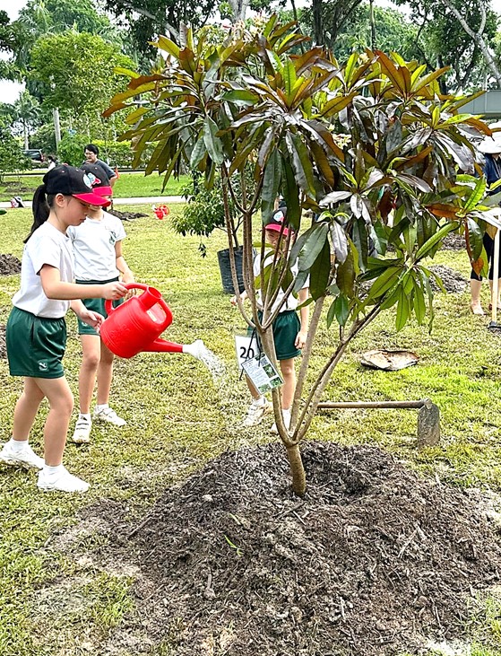 OneEarth Challenge 2024